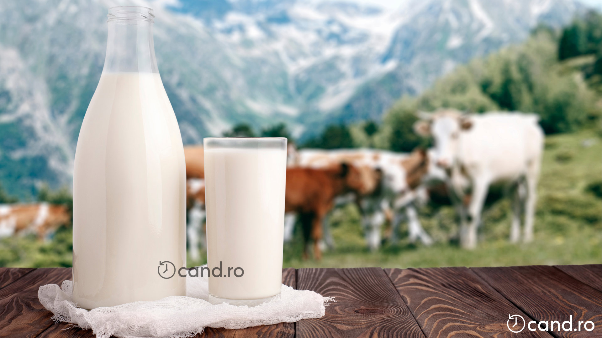 Cand se stropesc rosiile cu lapte si ce efect are asupra plantelor ...