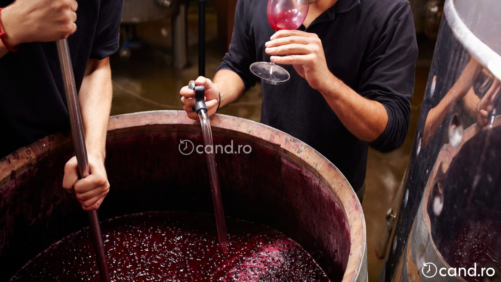 Cand se trage vinul de pe drojdie si de cate ori - cand.ro