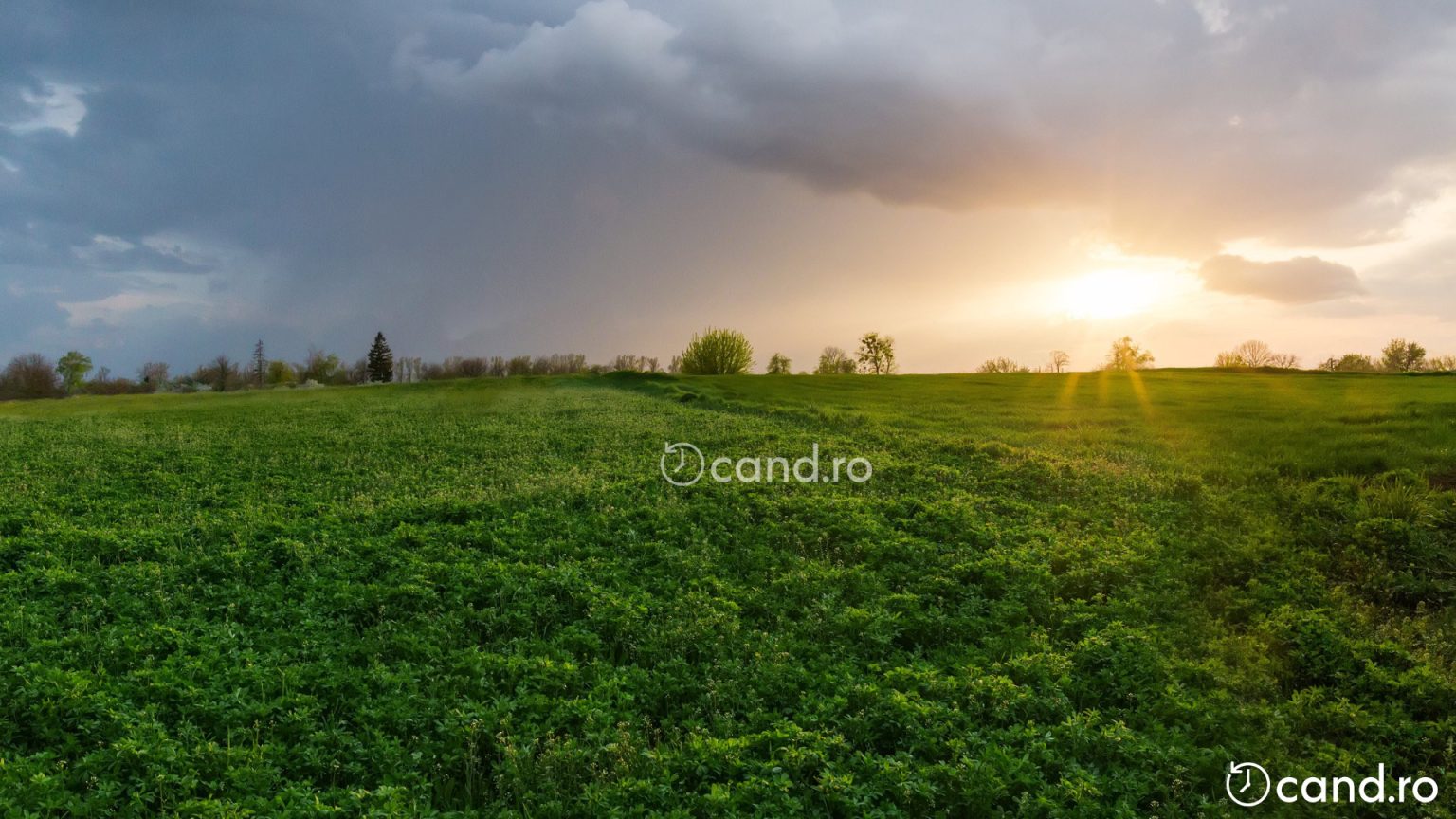Cand se seamana lucerna. Sfaturi pentru incepatori - cand.ro